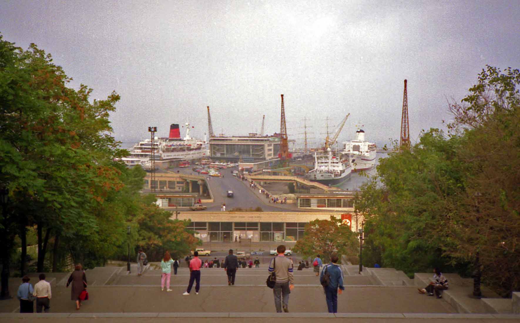 Odessa | Susan Viets